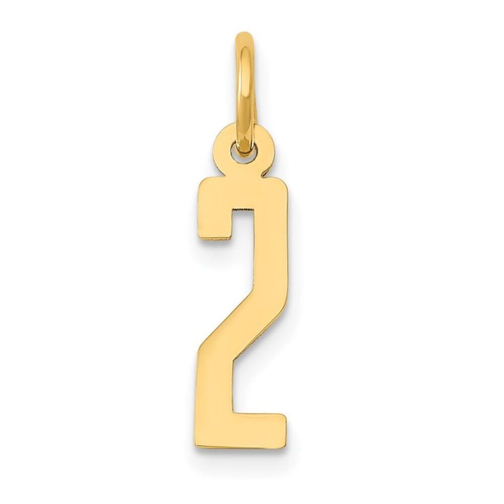 14k Yellow Gold Small Elongated Number 2 Charm - Gem